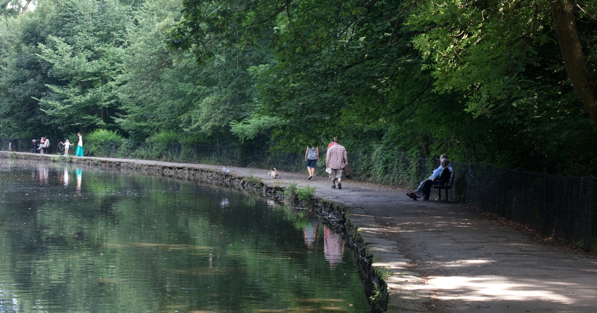 Sheffield Round Walk | The University of Sheffield Player
