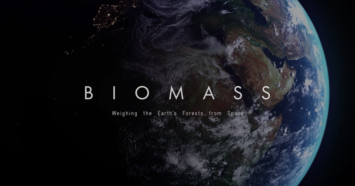 BIOMASS | The University of Sheffield Player