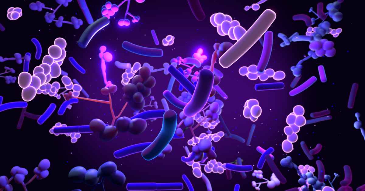 Why we study microbiology at Sheffield | The University of Sheffield Player