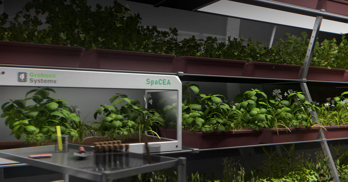 Crop Growth in Space | The University of Sheffield Player